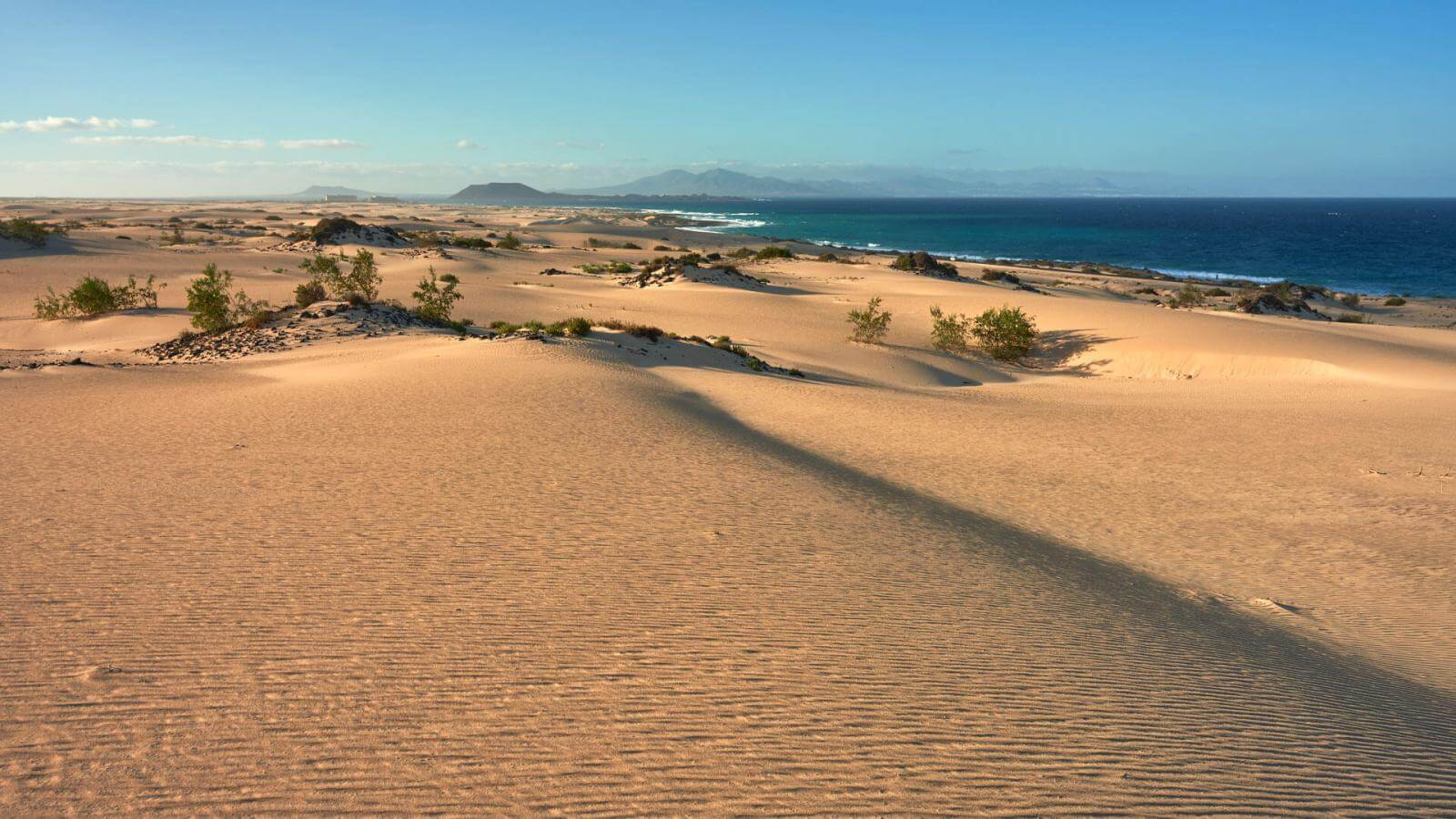 Dunas De Arena De Playa Dunas De Artola O Cabopino