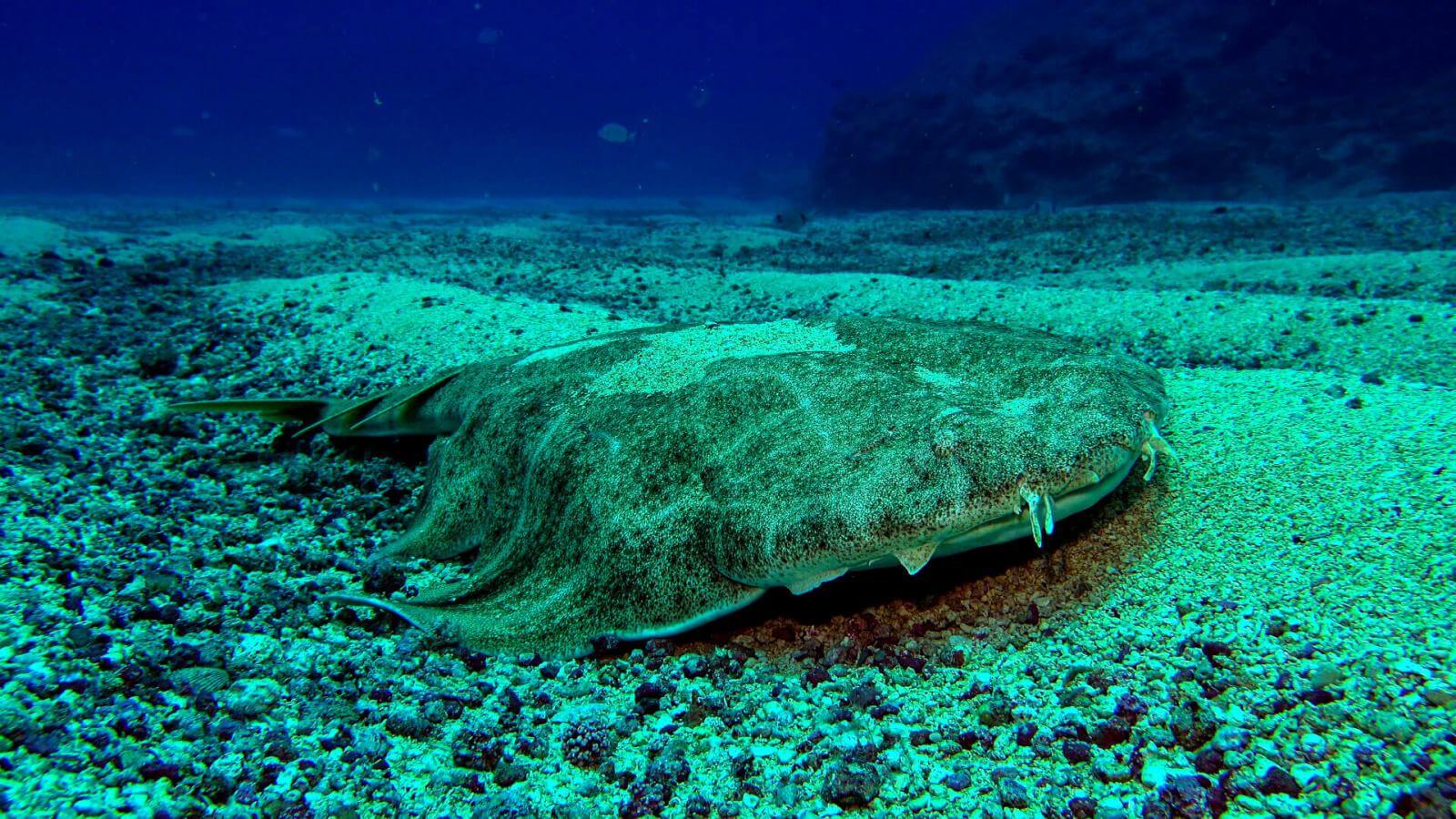 El Cañón | Fuerteventura